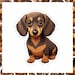 Cute Dachshund Puppy Sticker, Great for Laptops, Notebooks, Water ...