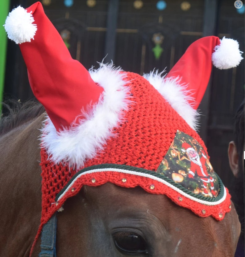 Handmade Christmas Costume for Horses English Saddle Pad Set AP With ...