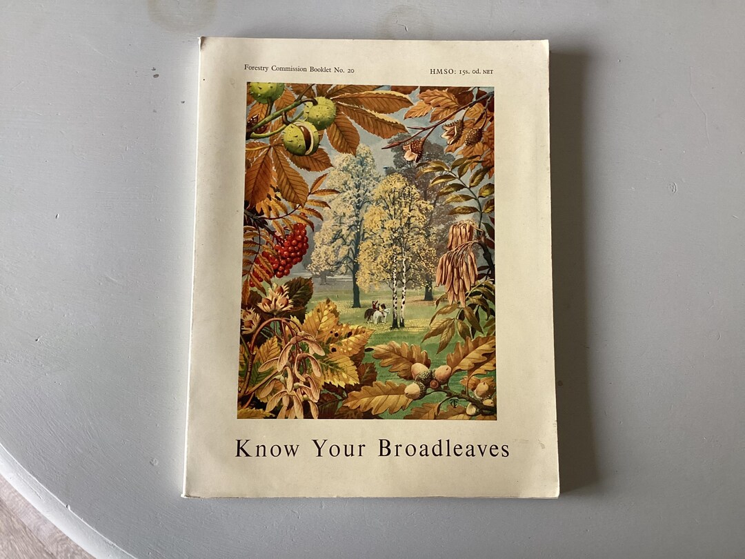 Know Your Broadleaves a Forestry Commission Booklet No 20 Pub HMSO 1968 ...