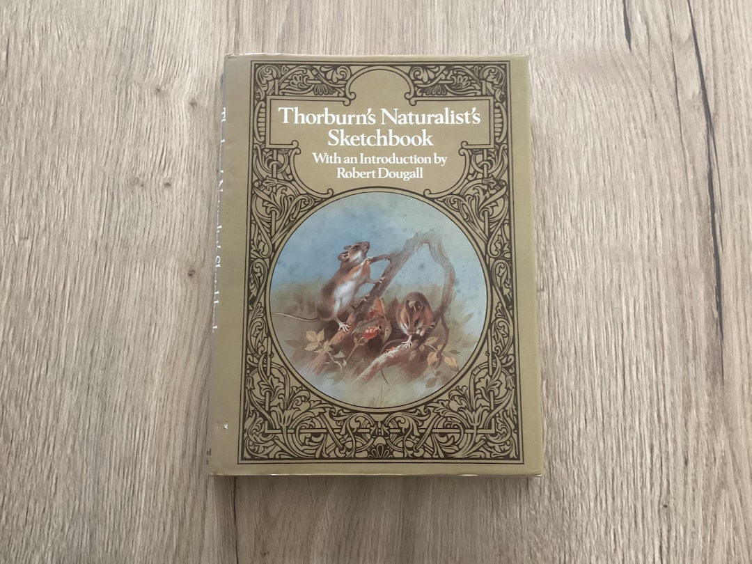 Thorburns Naturalist S Sketchbook With Robert Dougall Intro First Pub ...