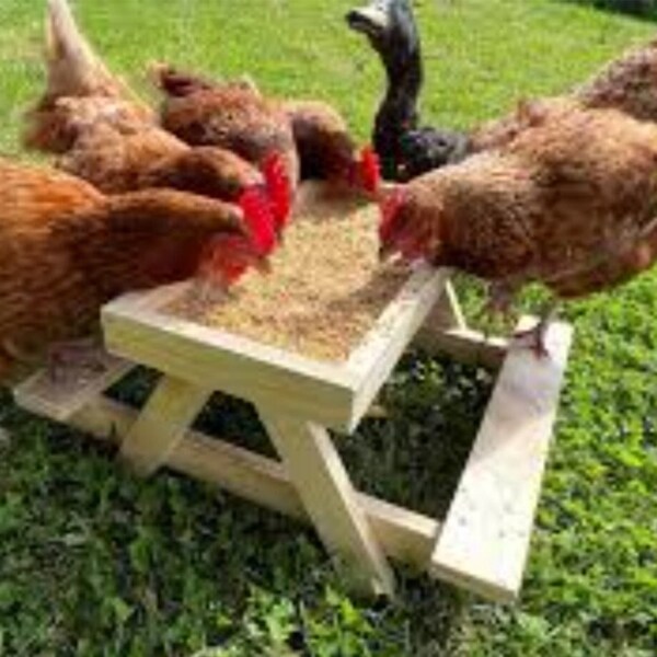 Chicknic Table - Etsy