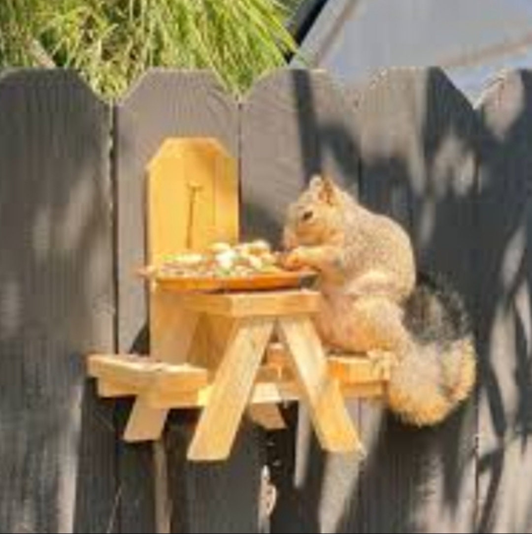 Squirrel Table - Etsy