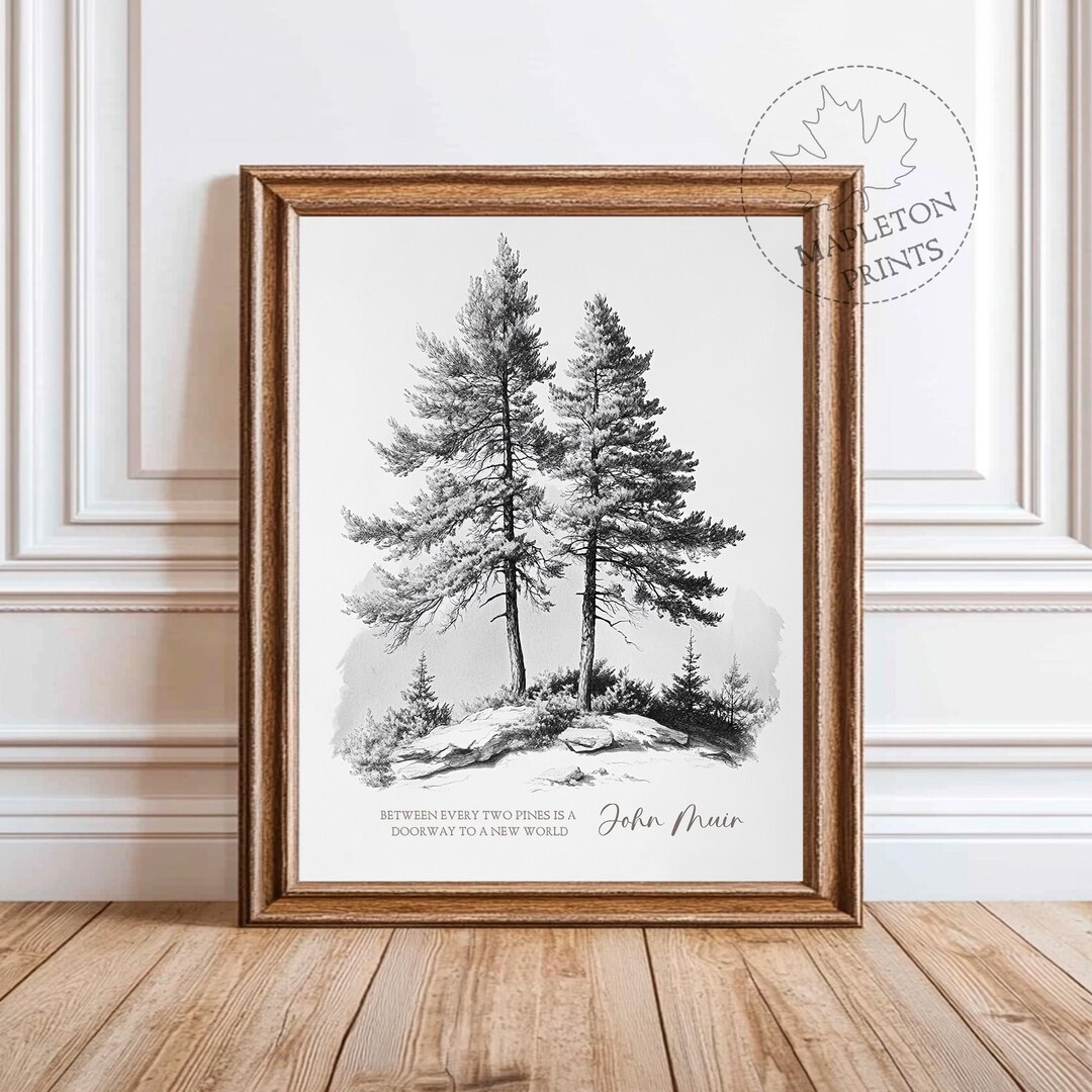 John Muir Quote Printable Philosophical Wall Art | Inspirational Quote ...