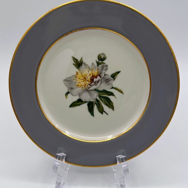 Princess China - Etsy