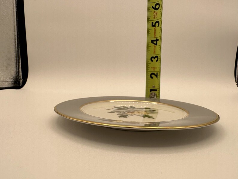 Golden Peony Salad Plate Princess China Made in USA Trutone - Etsy