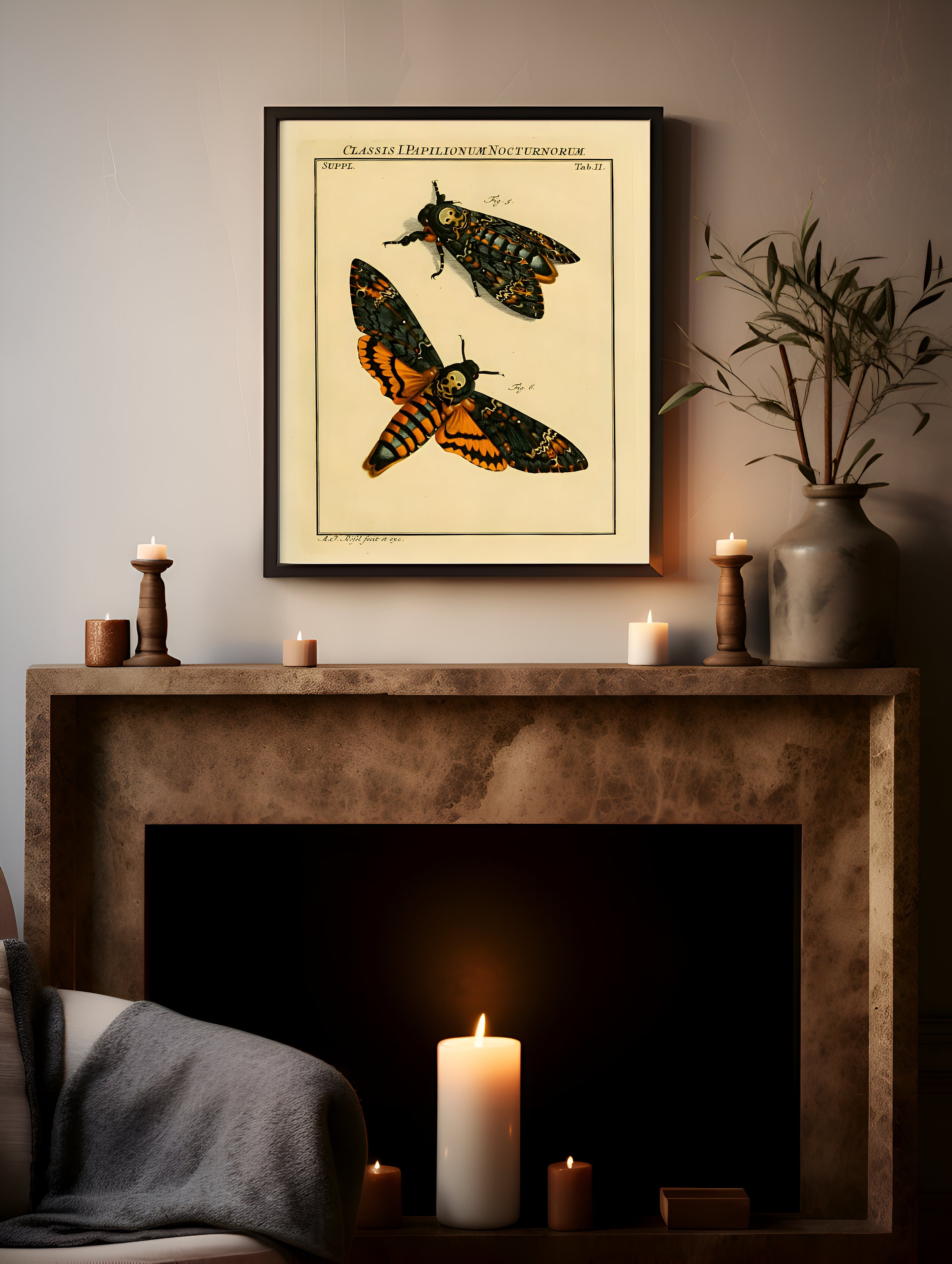Vintage Death Moth Print, Deathhead Moth Classic Poster, Entomology ...
