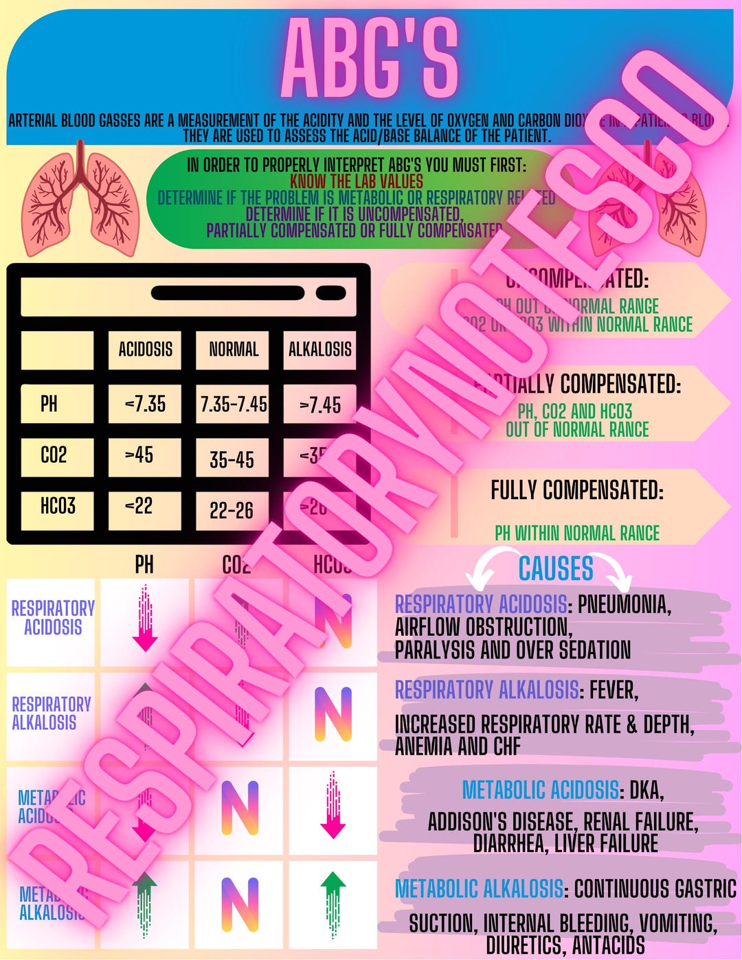 ABG | Arterial Blood Gas Notes | Study Guide for Respiratory Therapy ...