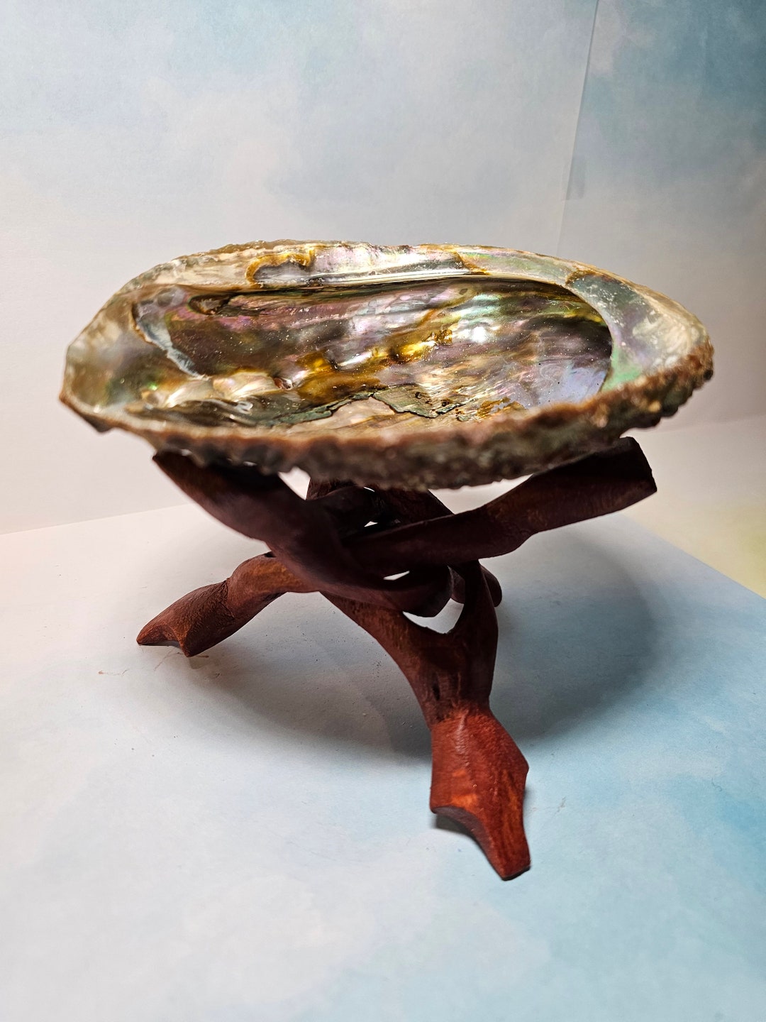 Albone Shell and Cobra Stand - Etsy