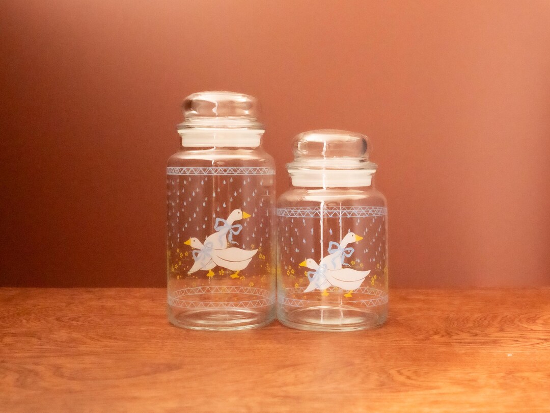Vintage Anchor Hocking Country Geese Jar Set With Bubble Lids | Glass ...