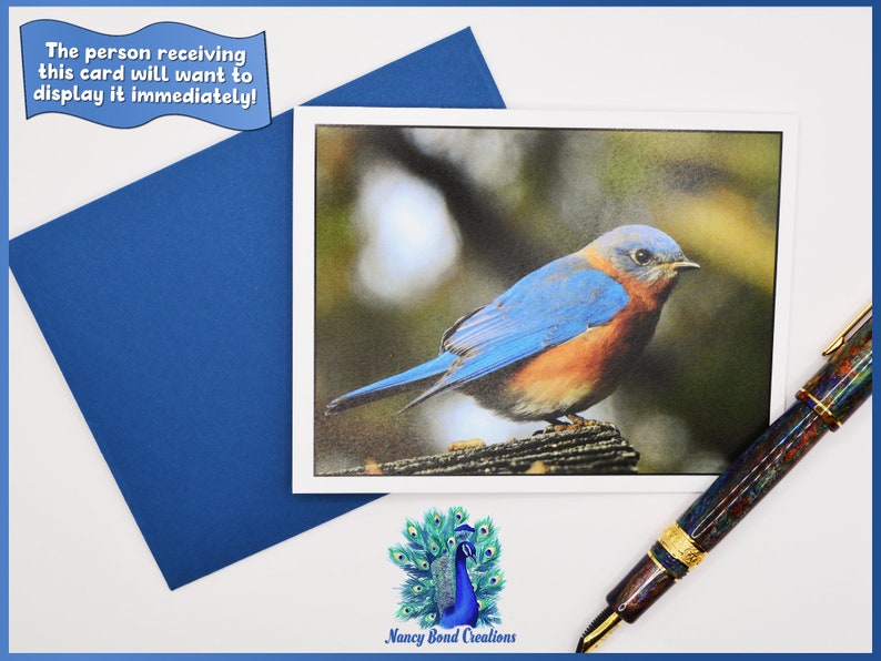 Digital Download Note Card With Bluebird Photo to Print at Home an ...