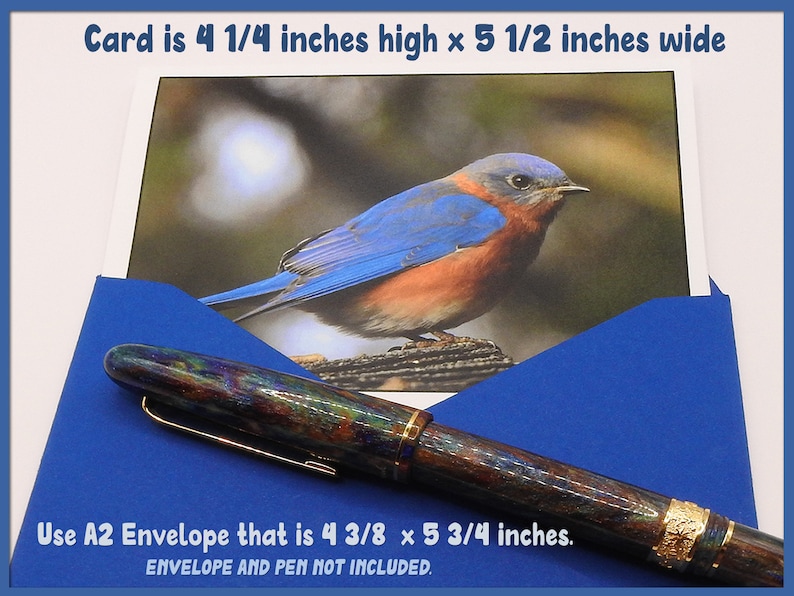 Digital Download Note Card With Bluebird Photo to Print at Home an ...
