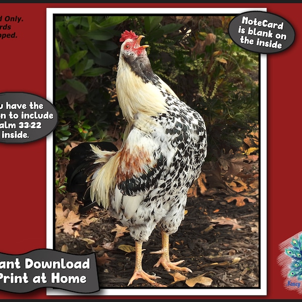 Rooster Crowing - Etsy
