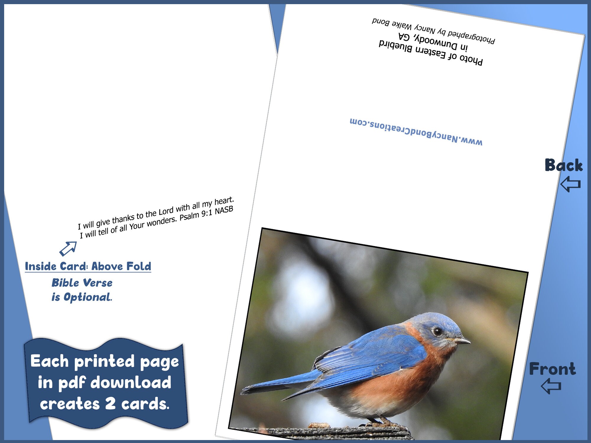 Digital Download Note Card With Bluebird Photo to Print at Home an ...