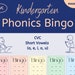 Phonics Bingo CVC Words - Etsy