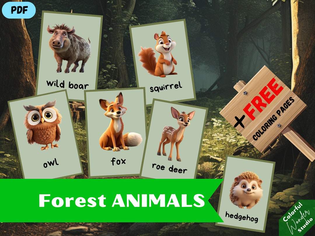 FOREST Animals 16 Montessori Flashcards Nomenclature - Etsy