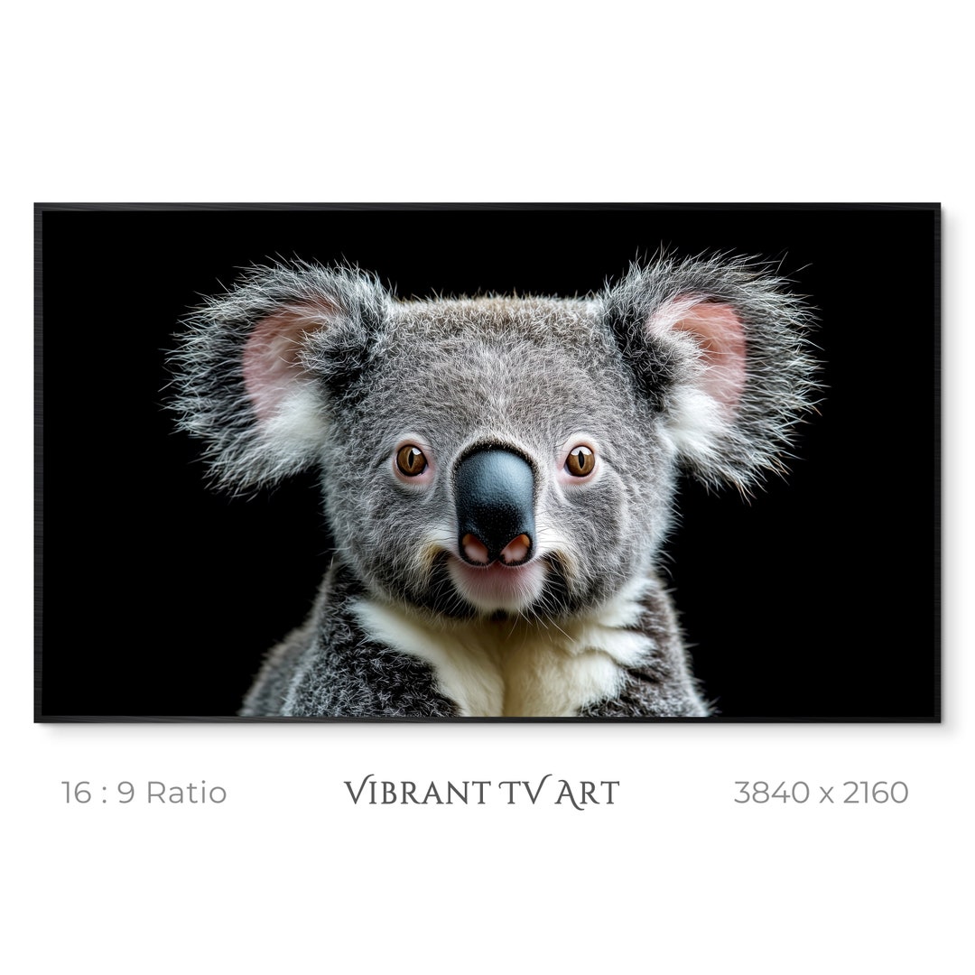 Koala Photo for Frame TV, Minimalist Art for Digital Frame TV ...