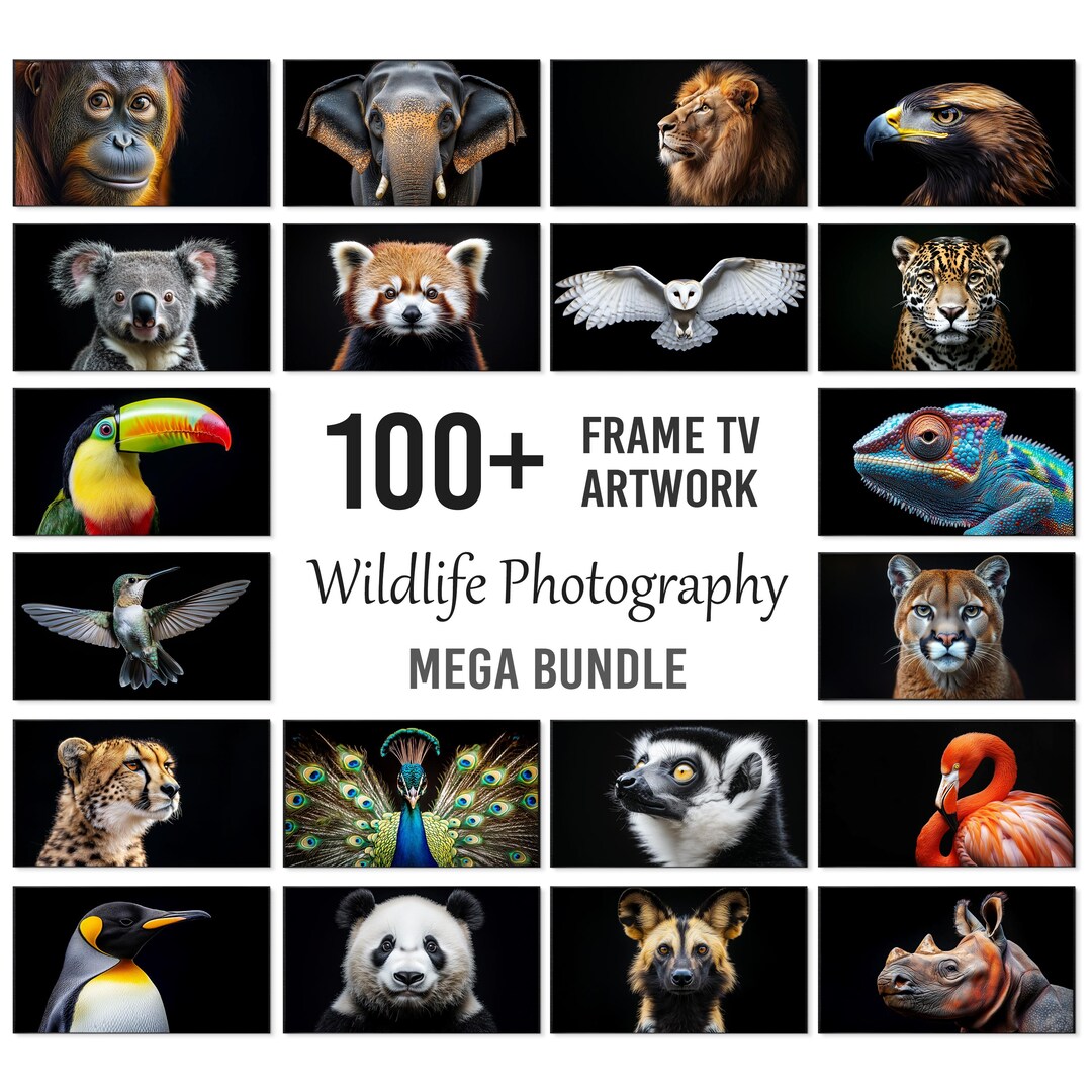 Wildlife Photography Frame TV Art Set, Mega Bundle 100 Images, Animal ...