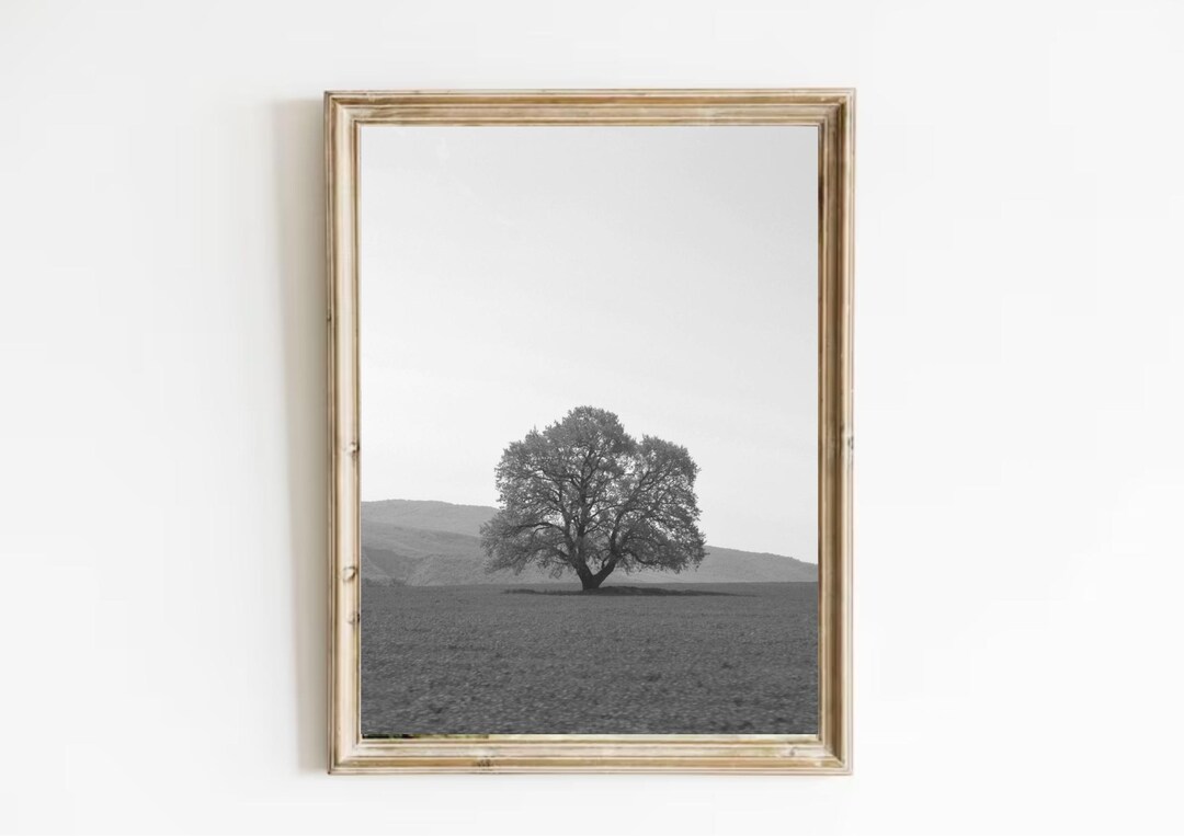 Monochrome Old Oak Tree Landscape Photo Print (digital Download) - Etsy