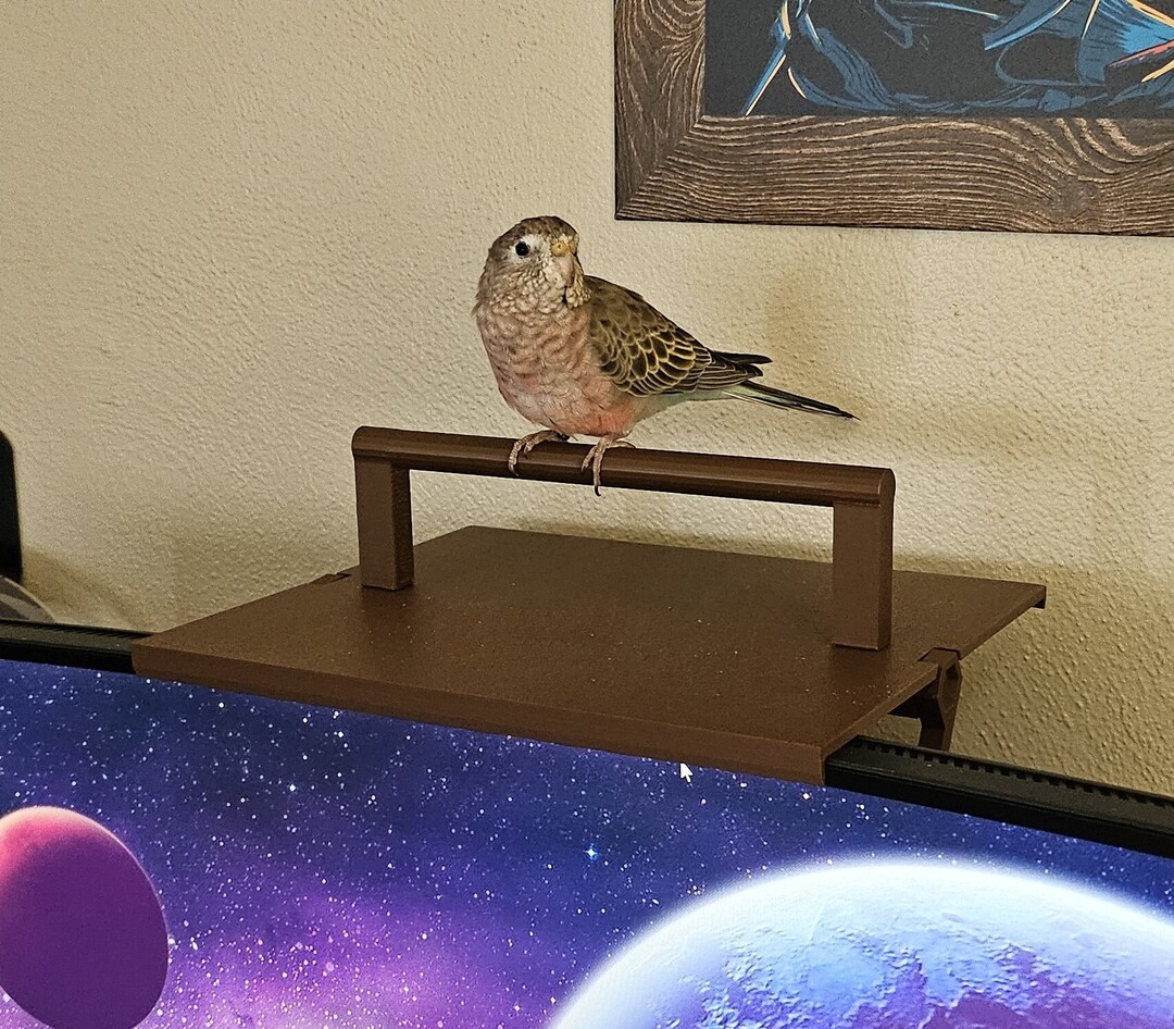 Pixel Perch: A 3d-printed Monitor Perch for Your Feathered Co-pilot ...