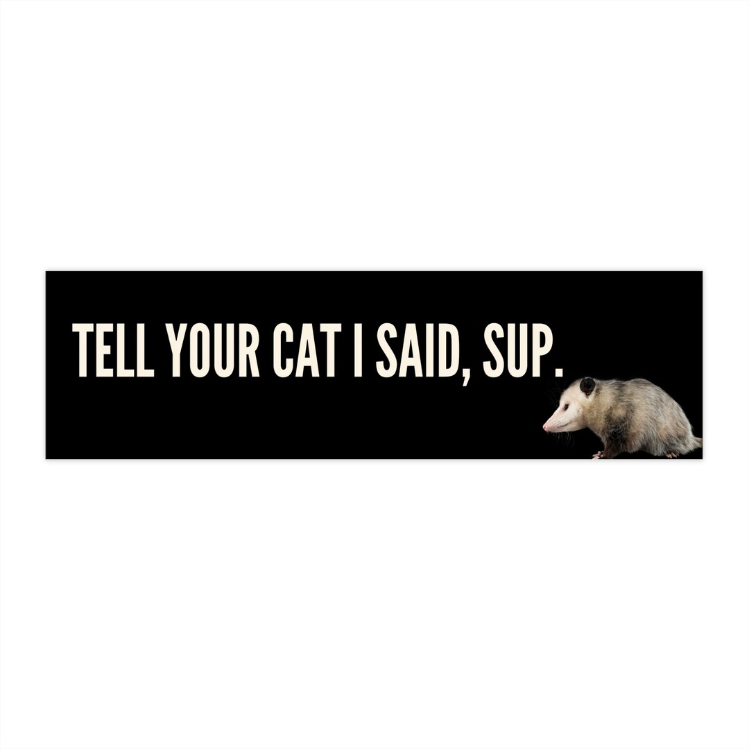 Possum and Cat - Bumper Stickers - Etsy