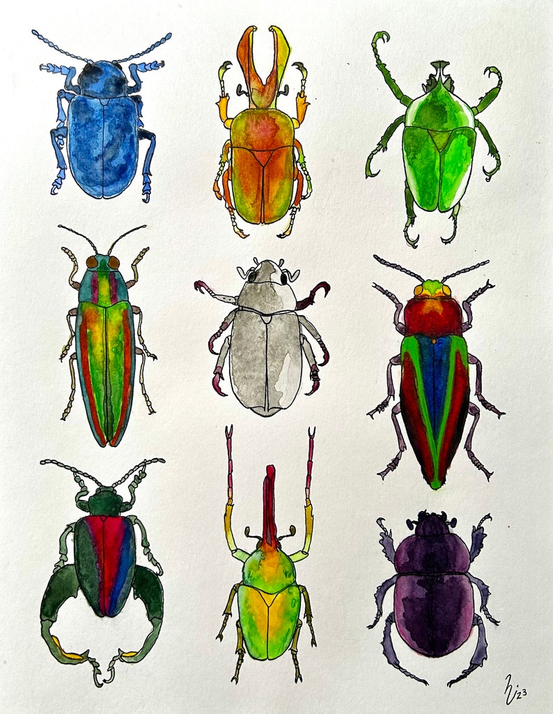 Beetle Watercolor Print - Etsy