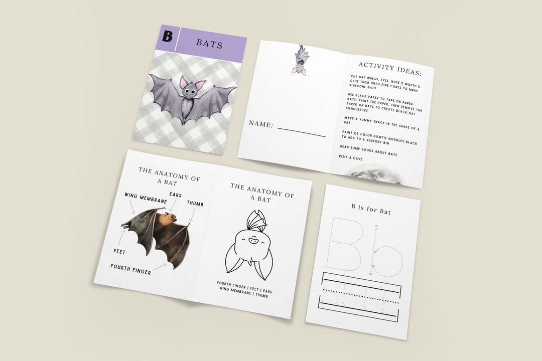 Letter B Educational Activity Book: Learning on the Go - Etsy