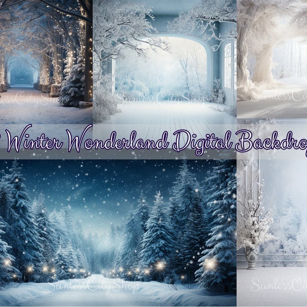 Winter Wonderland Backdrop - Etsy