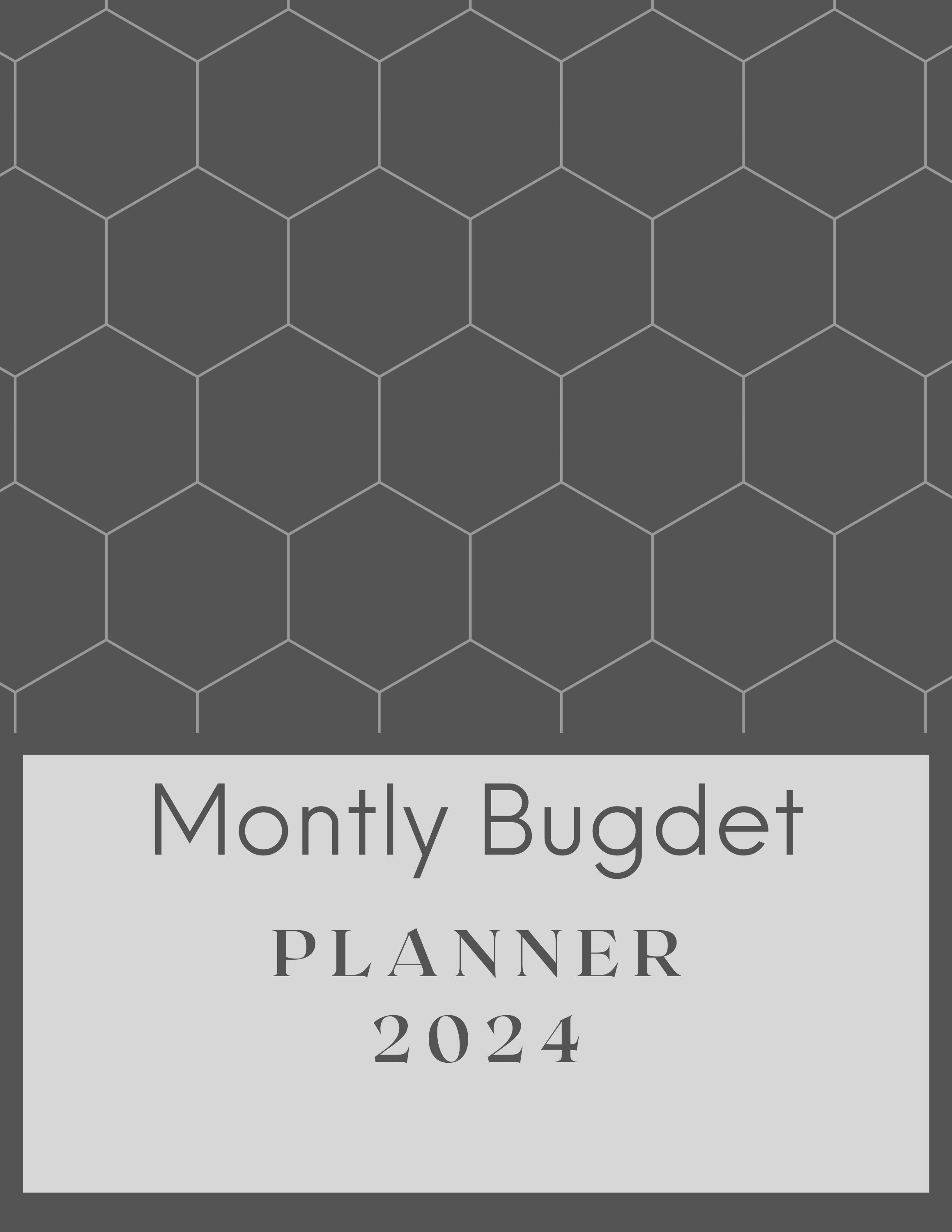 2024 Monthly Budget Planner Instant Download Printable Monthly Goals ...