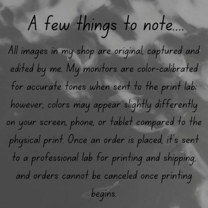 Key West Arrows Destination Signpost - Tropical Wall Art for Home or ...