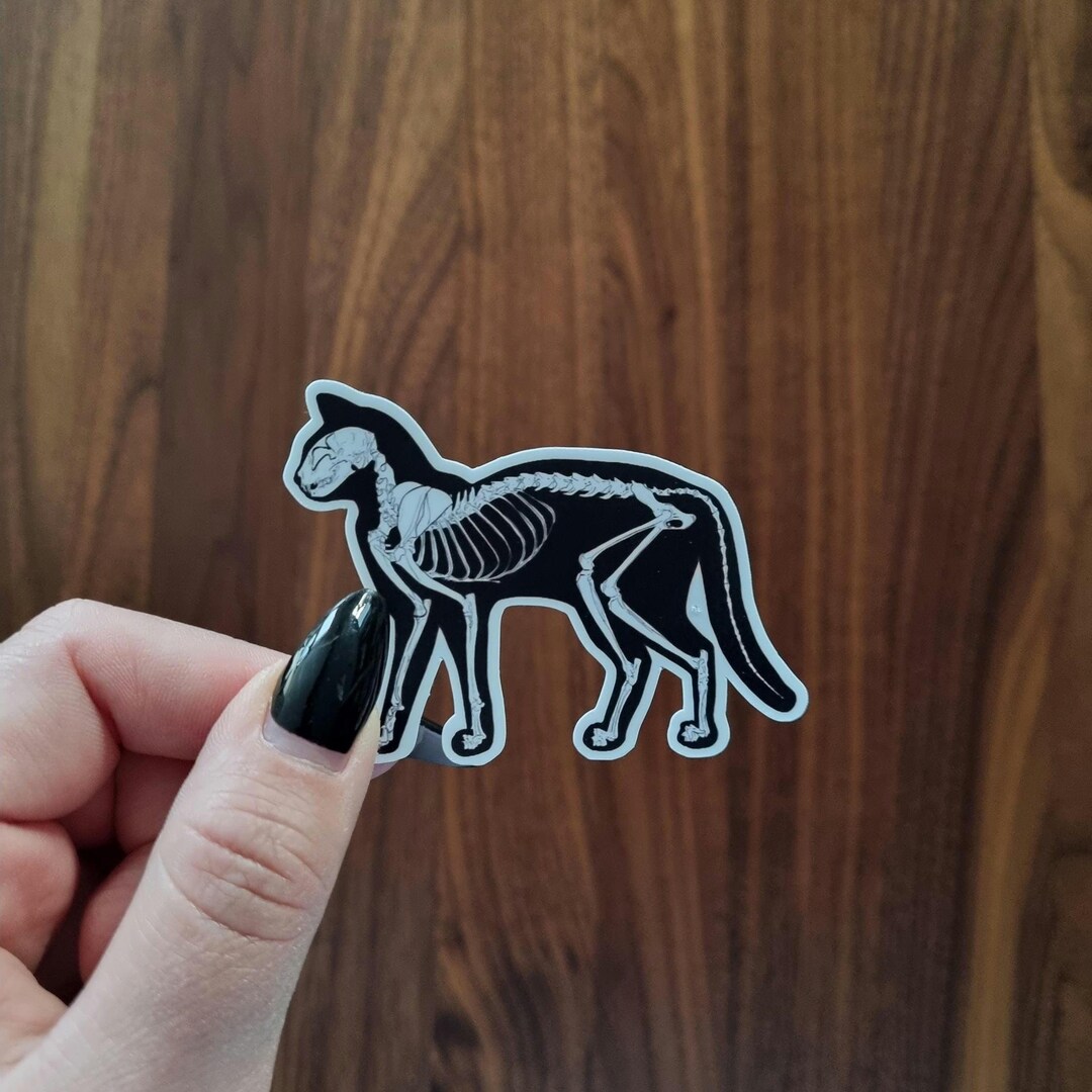 Skeleton Cat Vinyl Sticker - Etsy