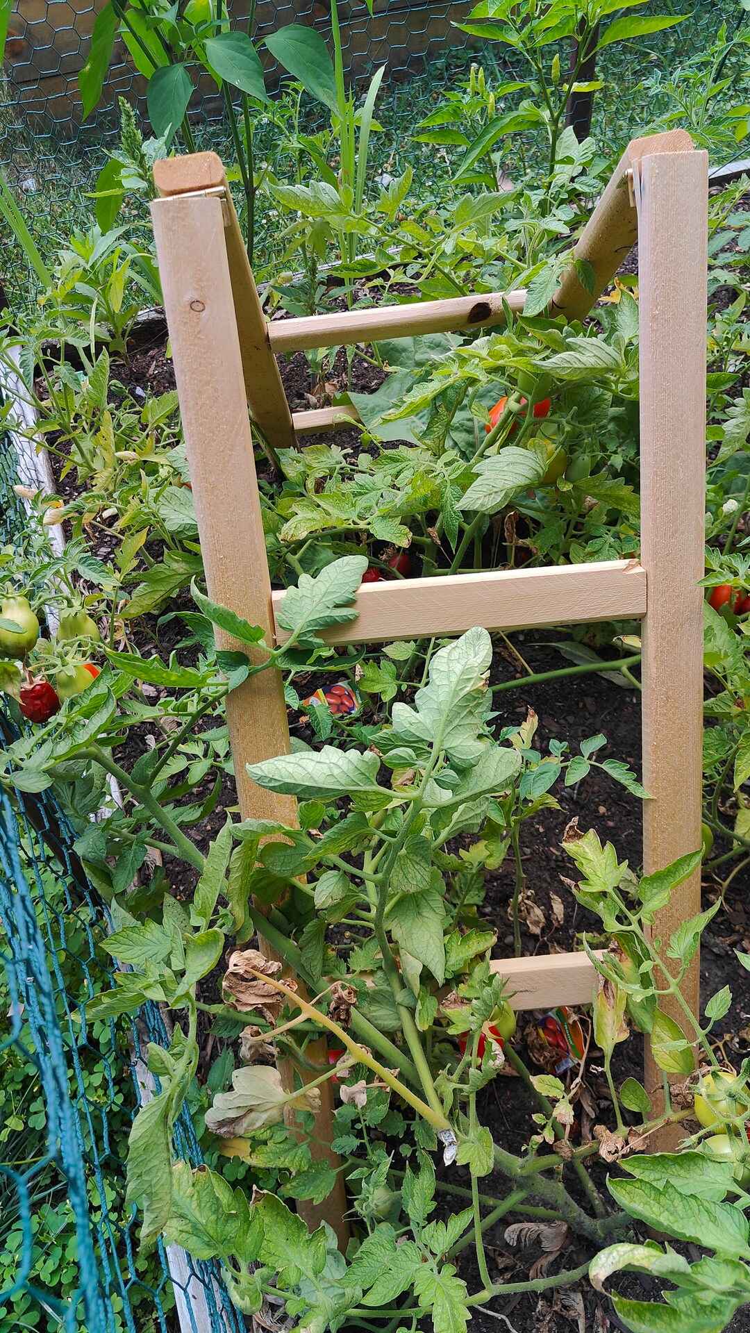 Folding Plant Support Stand - Etsy