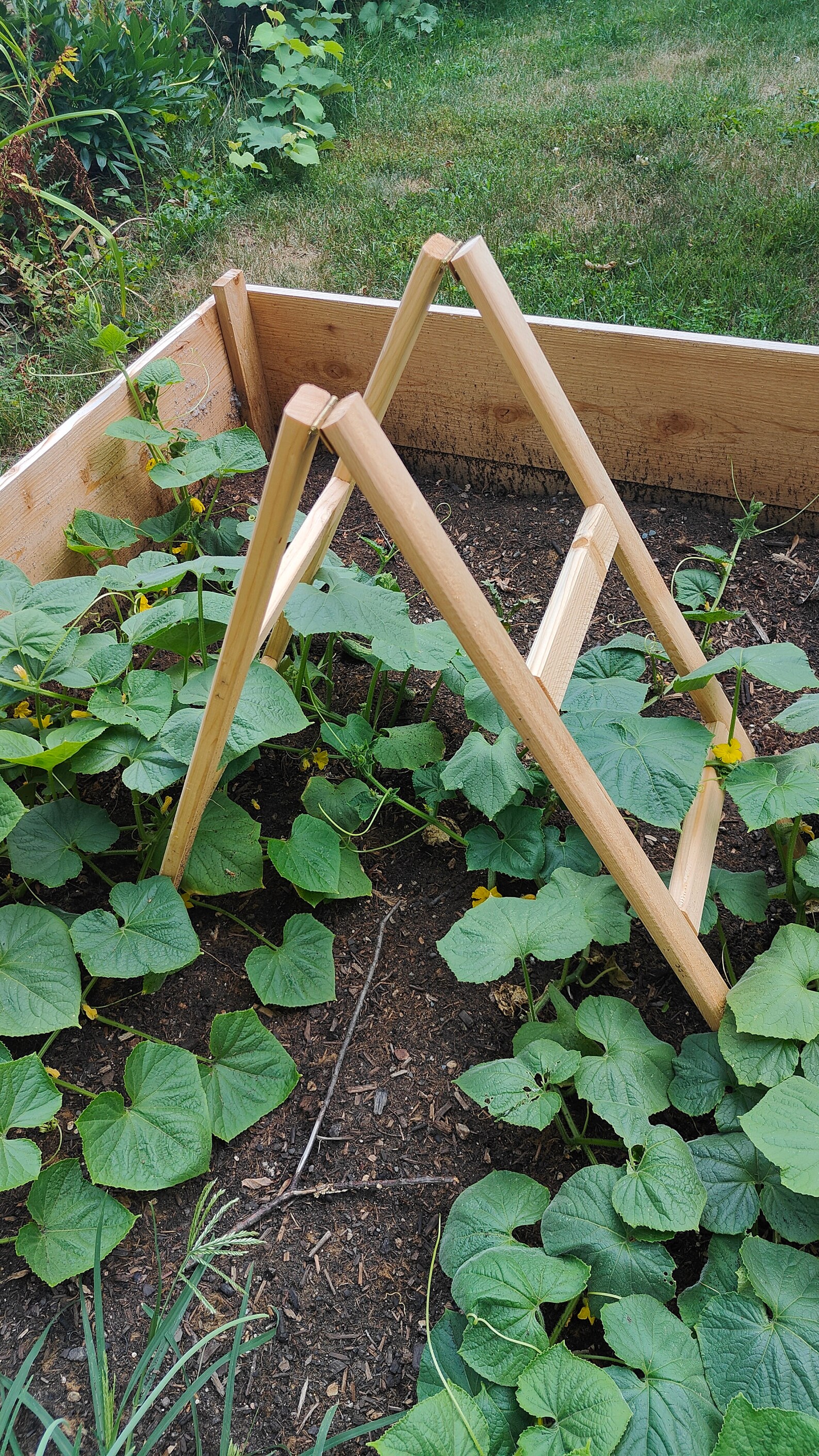 Folding Plant Support Stand - Etsy