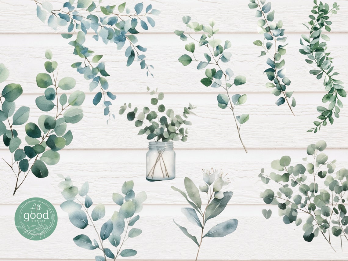 Watercolor Greenery Eucalyptus Clipart Greenery Clipart Green Foliage ...