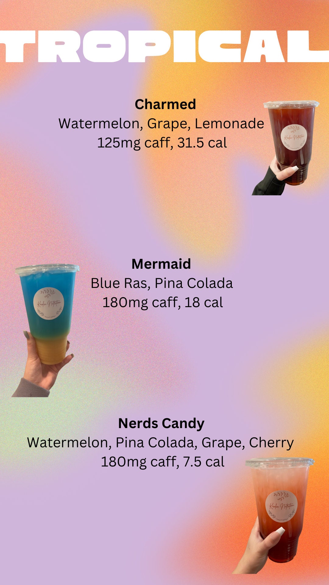 To-go Teas FREE SHIPPING - Etsy