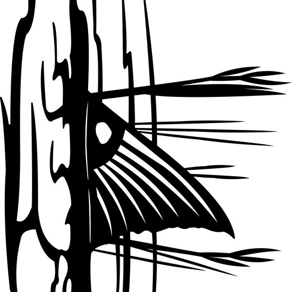 Redfish Tail Svg - Etsy