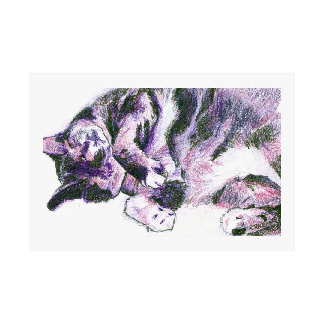 Calico Cat --colored Pencil Drawing Print - Etsy