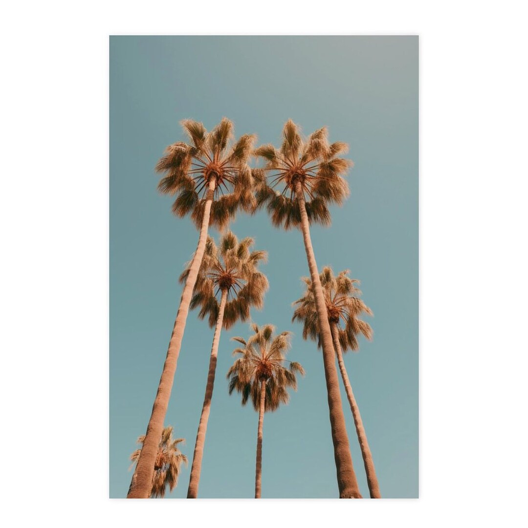 Retro Vintage Summer Vibe Summer Hue Teal Tropical Palm Tree Self ...