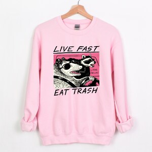 Live Fast Eat Trash Shirt, Funny Adventure Sweatshirt, Cute Raccoon ...