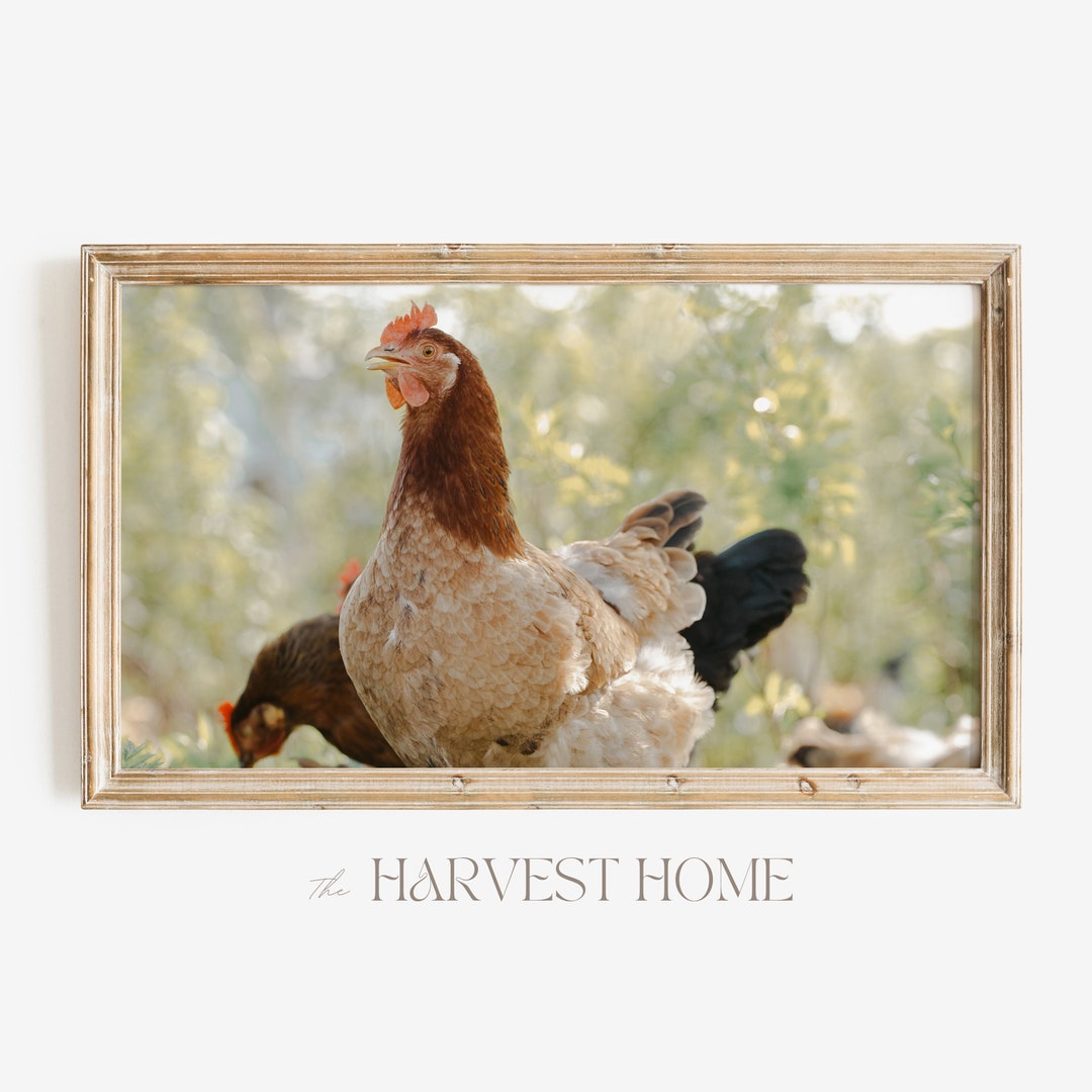 Beige Chicken Frame TV Art Farmhouse Chicken TV Art Summer Chicken ...