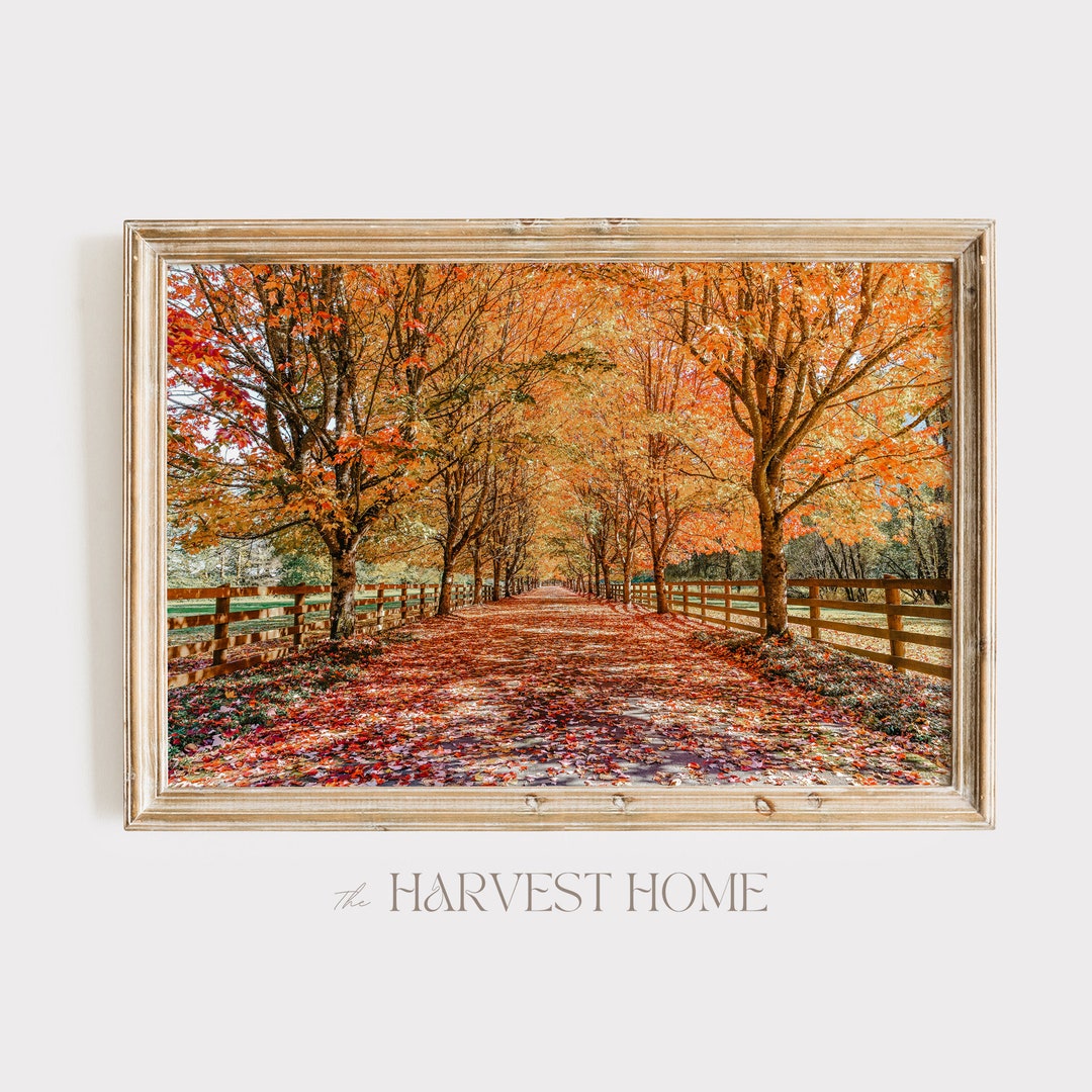 Leaf Covered Driveway Print, Rustic Horse Farm Poster, Autumn in New ...
