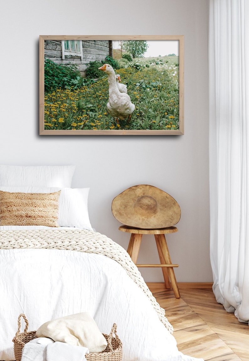 Barnyard Duck Print, White Duck Wall Art, Duck in Wildflowers Poster ...