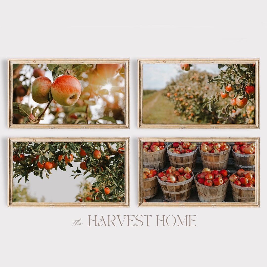 Apple Orchard Frame TV SET | Apple Picking TV Art | Rustic Orchard ...