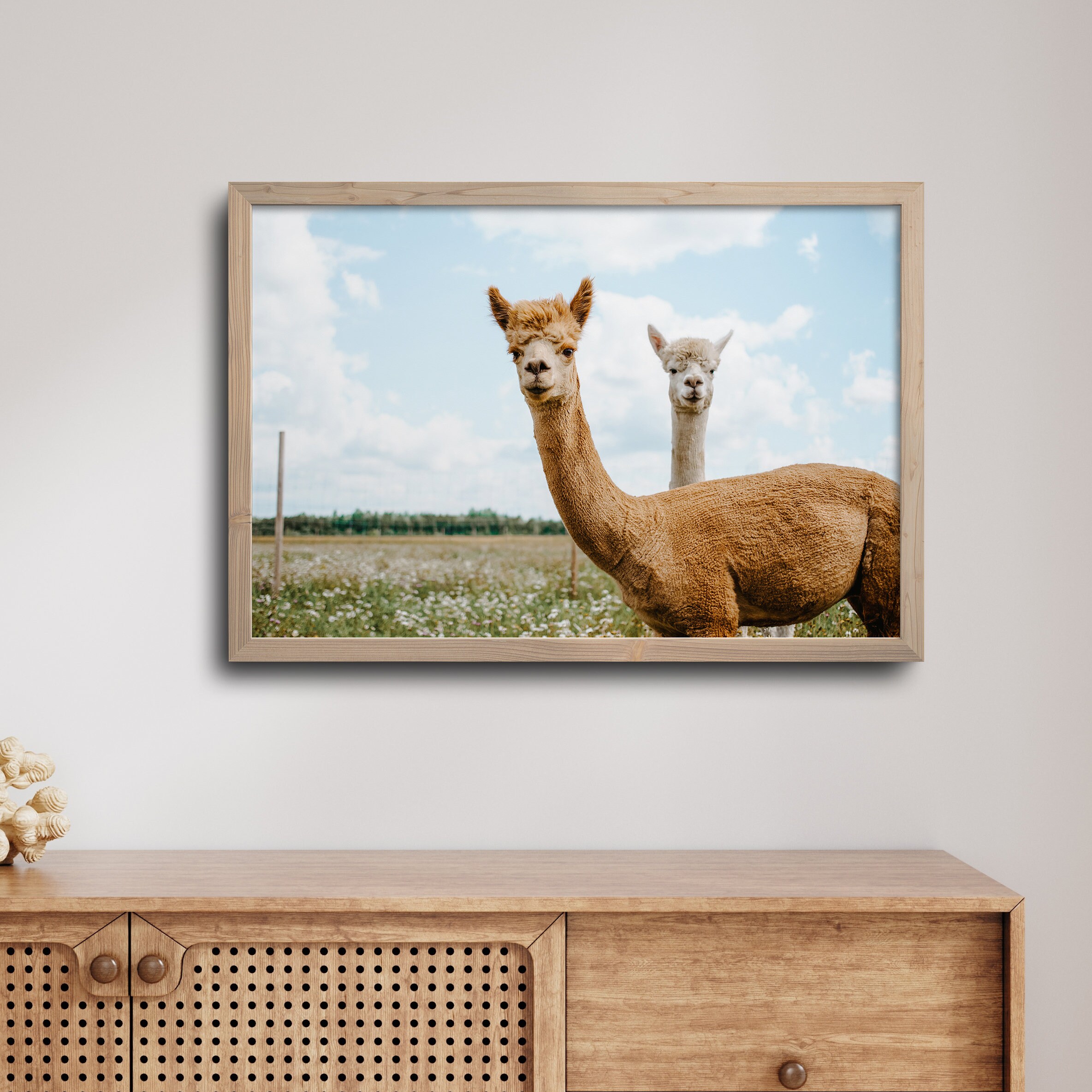 Alpaca Friends Wall Art, Sheared Alpaca Poster, Summer Alpaca in ...