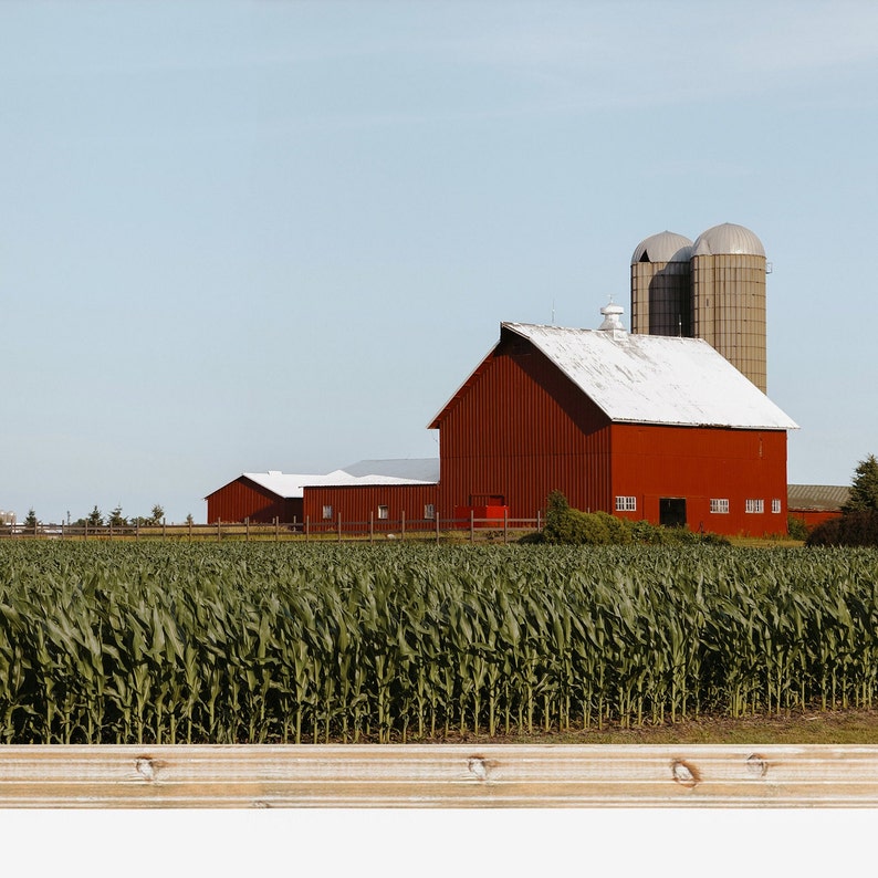 Red Barn Corn Field Frame TV Art | Summer Sweet Corn TV Decor ...