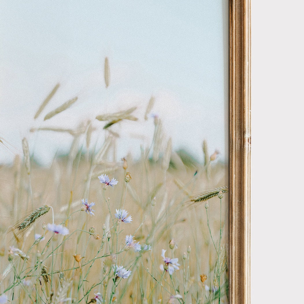 Farm Flower Field Print, Summer Scenery Print, Little Blue Flowers ...