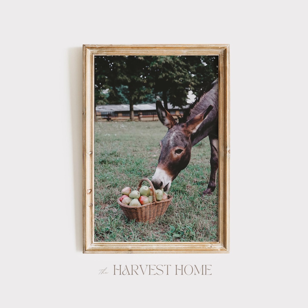 Mule Stealing Apples From the Basket Print, Autumn Apple Harvest ...