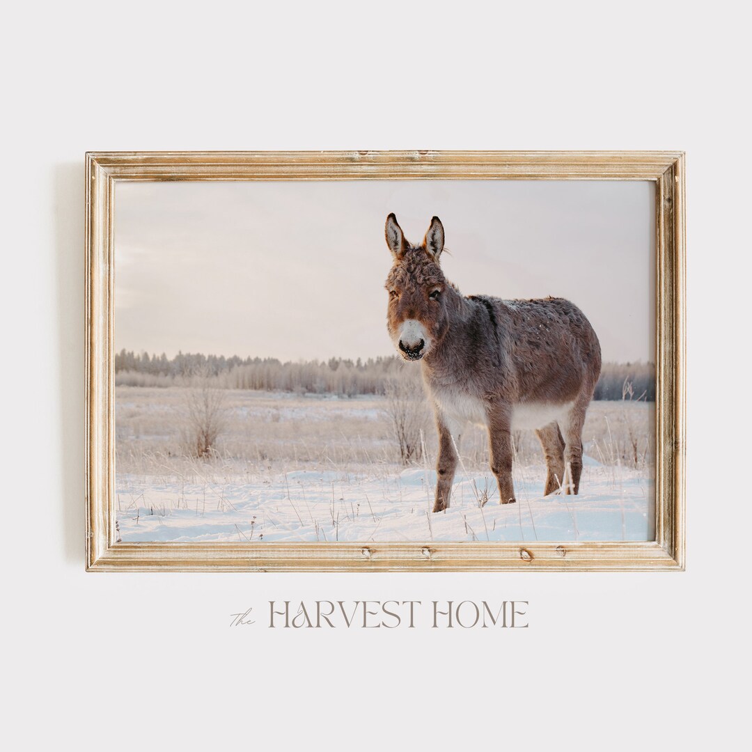 Winter Donkey Poster, Rustic Donkey Print, Donkey Home Decor, Farmhouse ...