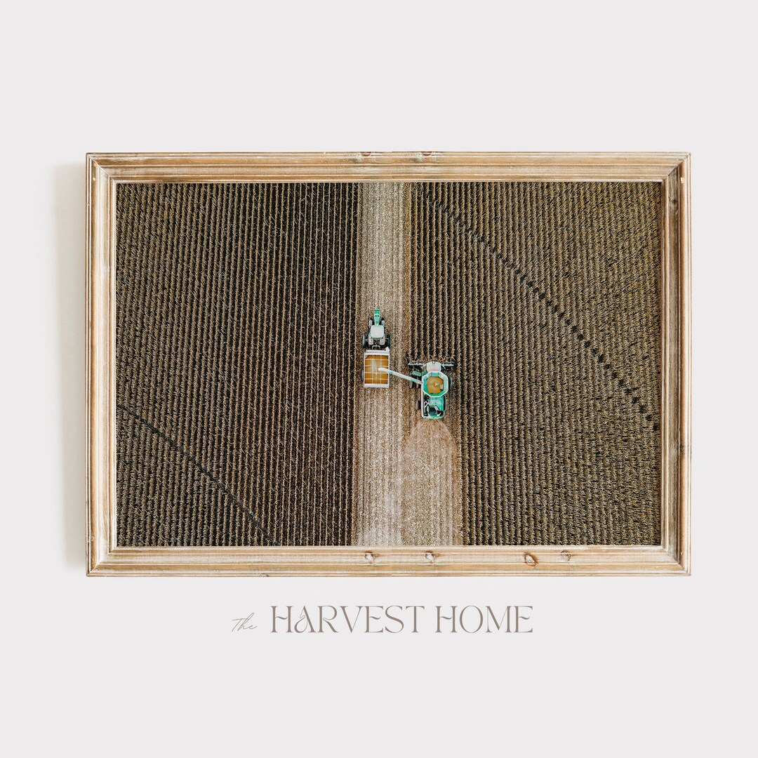 Corn Harvest Print, Dried Corn Stalks Poster, Tractor Harvesting Corn ...