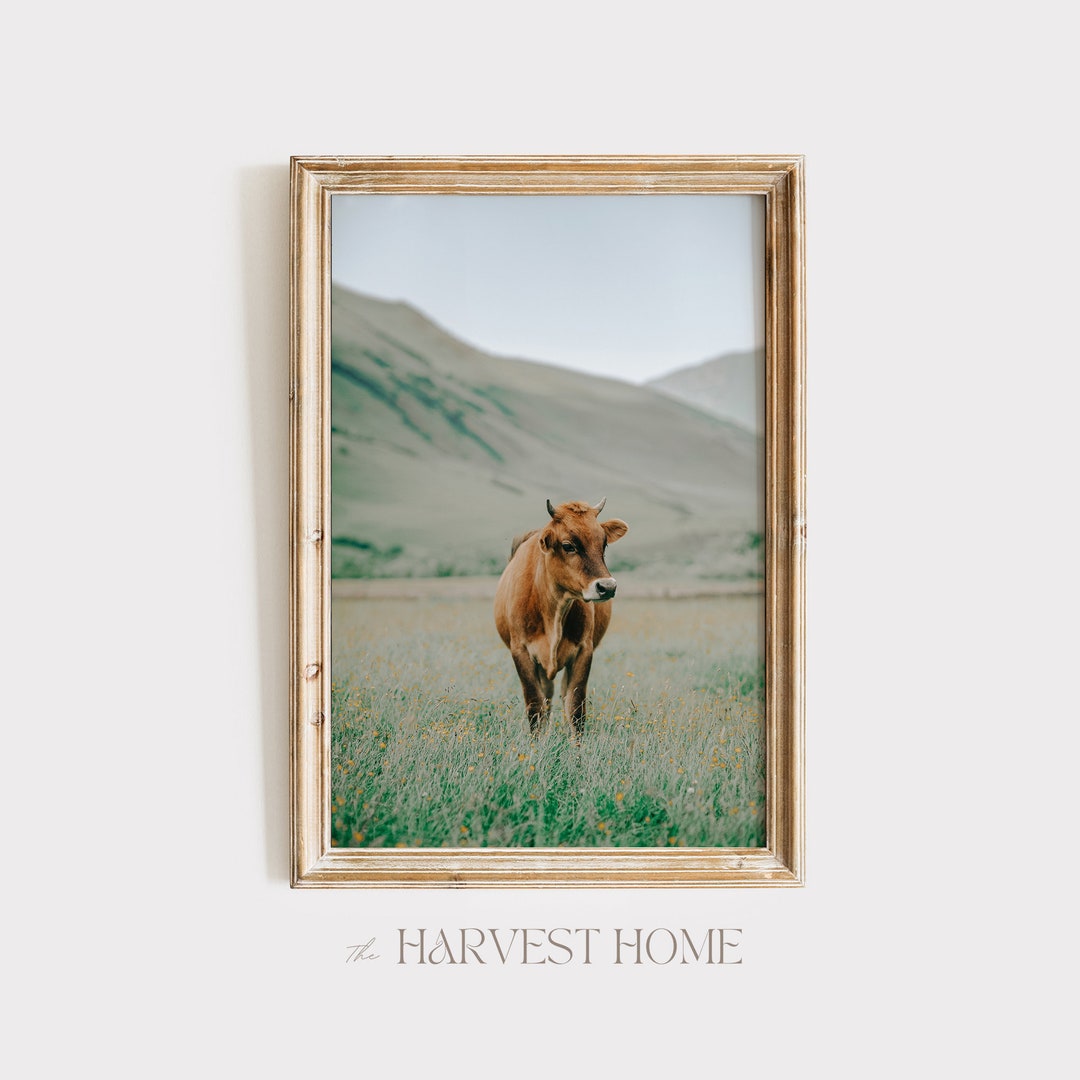 Jersey Milk Cow Print, Milk Cow in Lush Pasture, Countryside Decor ...