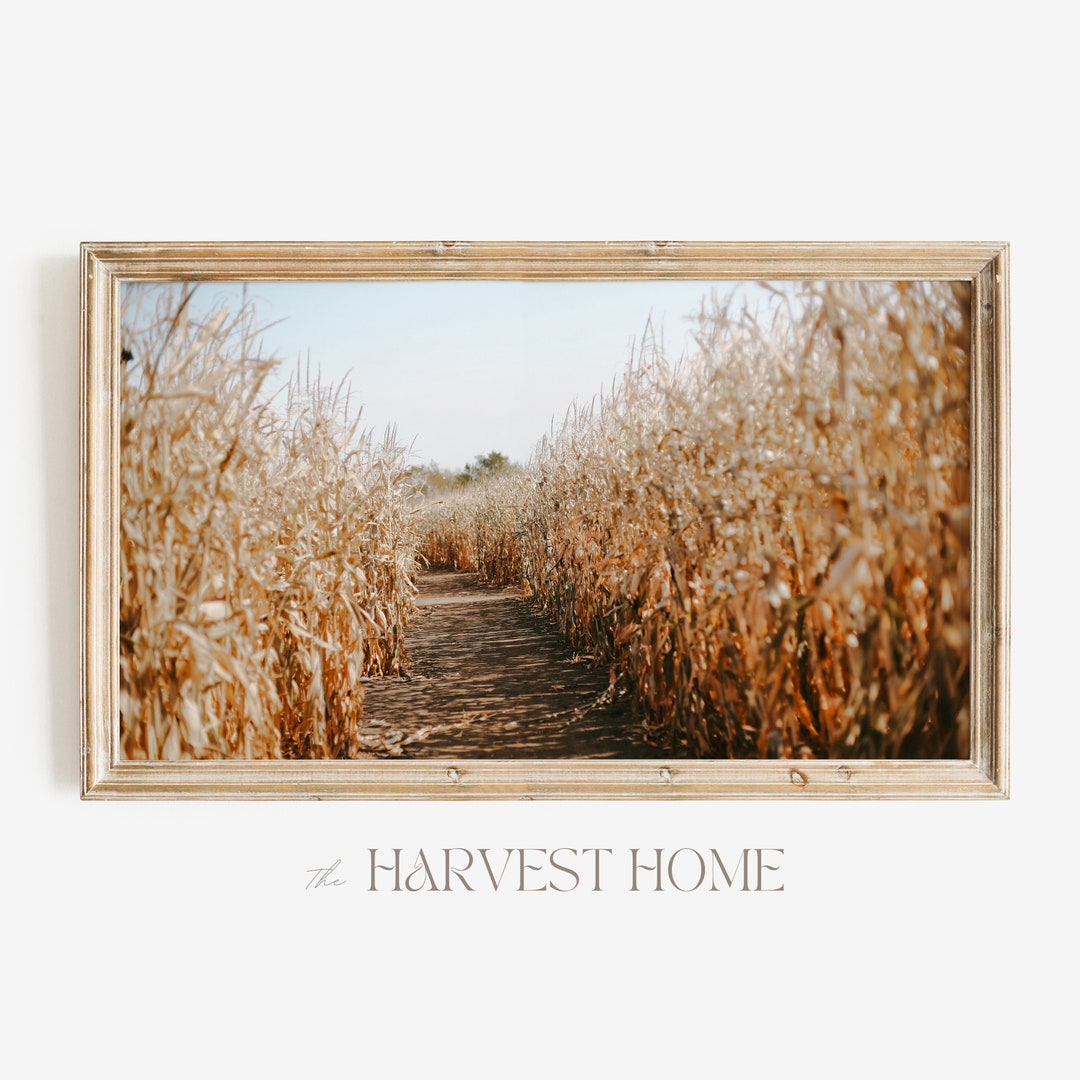 Dried Corn Field Maze | Samsung Frame TV Art | Fall Farm Scenery TV Art ...